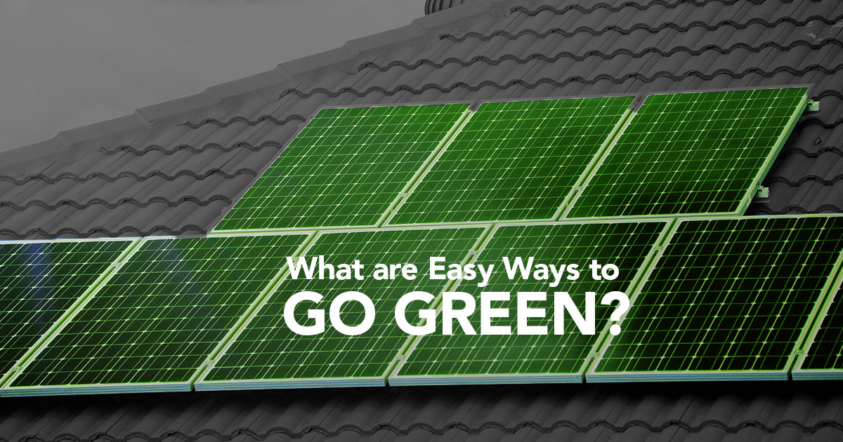 What are Easy Ways to Go Green? | Team Beery